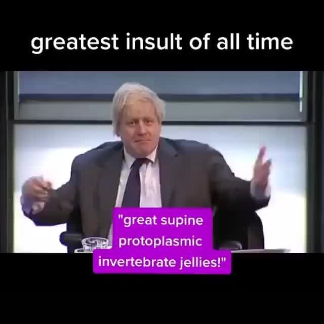 Greatest insult of all time "great supine protoplasmic invertebrate ...