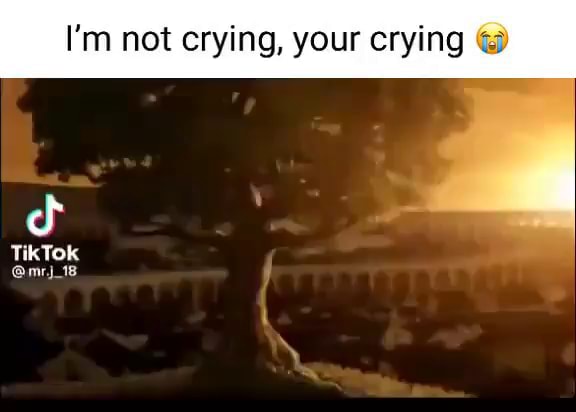 I M Not Crying Your Crying Tiktok Mrj 18 Ifunny