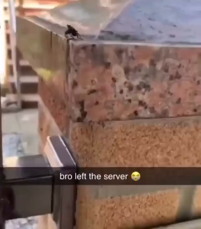 Bro left the server - iFunny