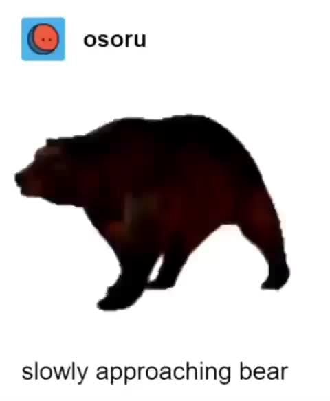 Slowly approaching bear - iFunny