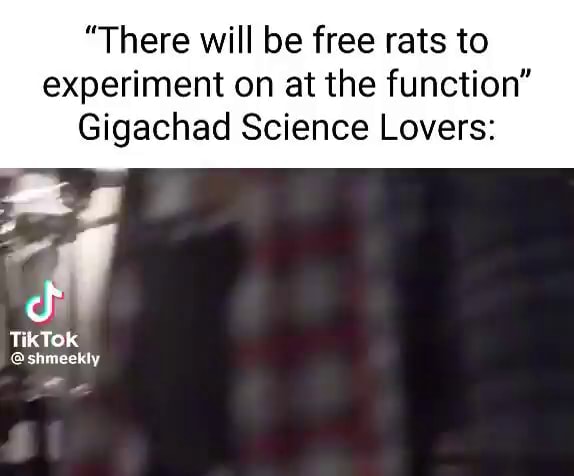 "There will be free rats to experiment on at the function" Gigachad ...