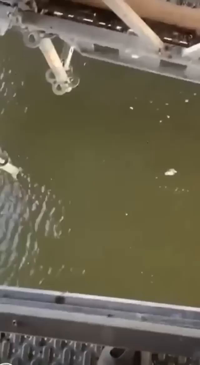 Video memes pNSlhGm4C by Fullmetal_Crux: 0.8K comments - iFunny