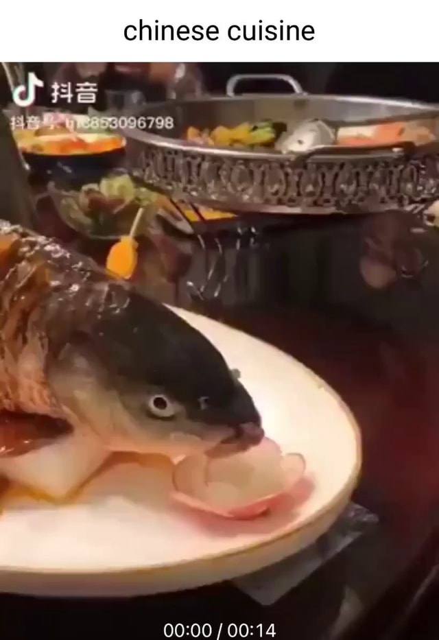 Chinese Cuisine IFunny chinese-cuisine-ifunny