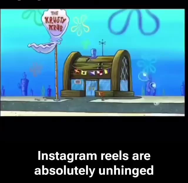 Instagram reels are absolutely unhinged - iFunny