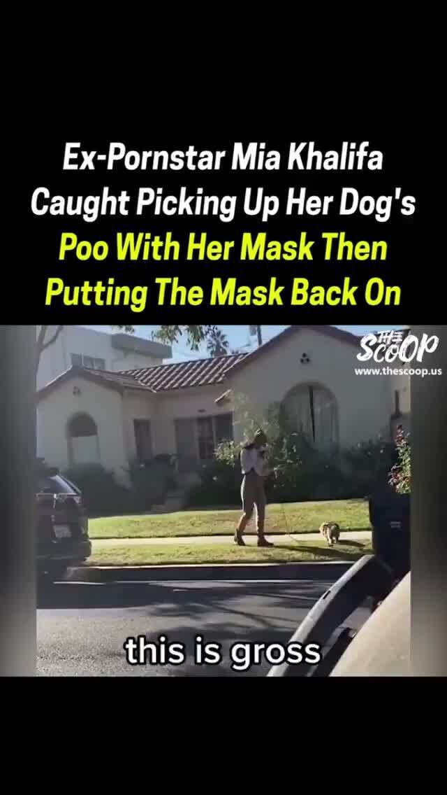 Ex-Pornstar Mia Khalifa Caught Picking Up Her Dog's Poo With Her Mask ...