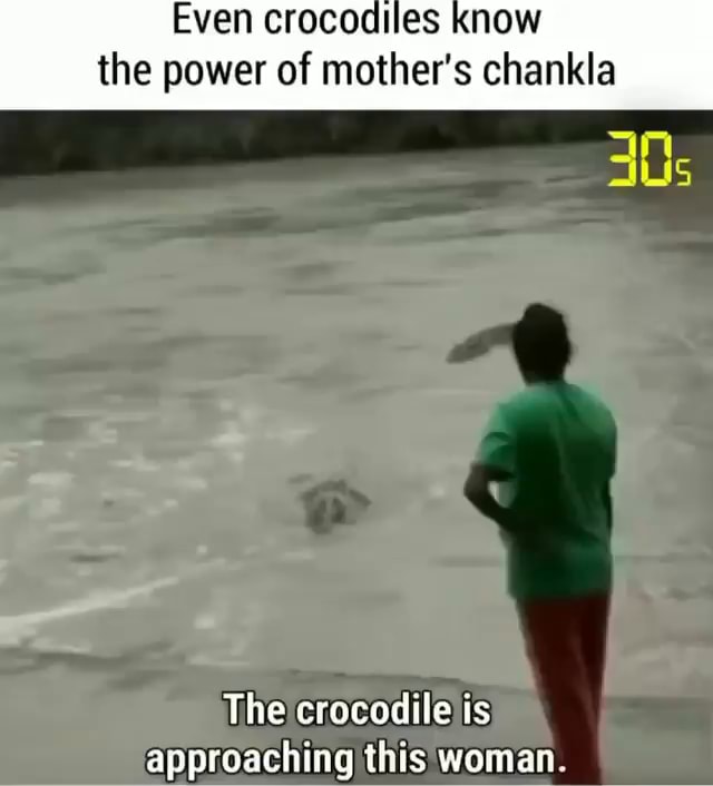 Even crocodiles know the power of mother's chankla The crocodile is ...
