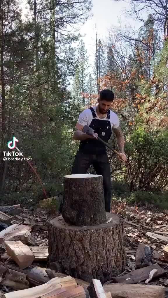 Video memes WLSePLvH8 by Marla_Singer__2015: 1.9K comments - iFunny