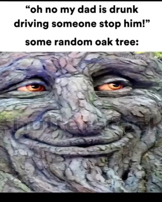 "oh no my dad is drunk driving someone stop him!" some random oak tree ...