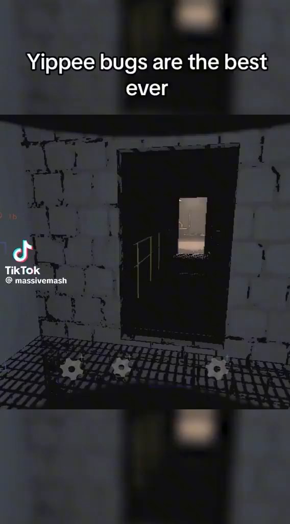 Yippee bugs are the best ever TikTok massivema: - iFunny