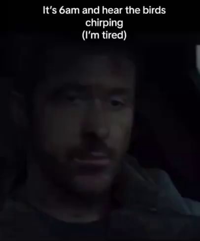 It's and hear the birds chirping (I'm tired) - iFunny