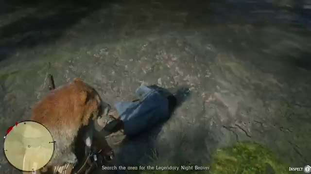 Search the area for the Legendary Night Beaver - iFunny