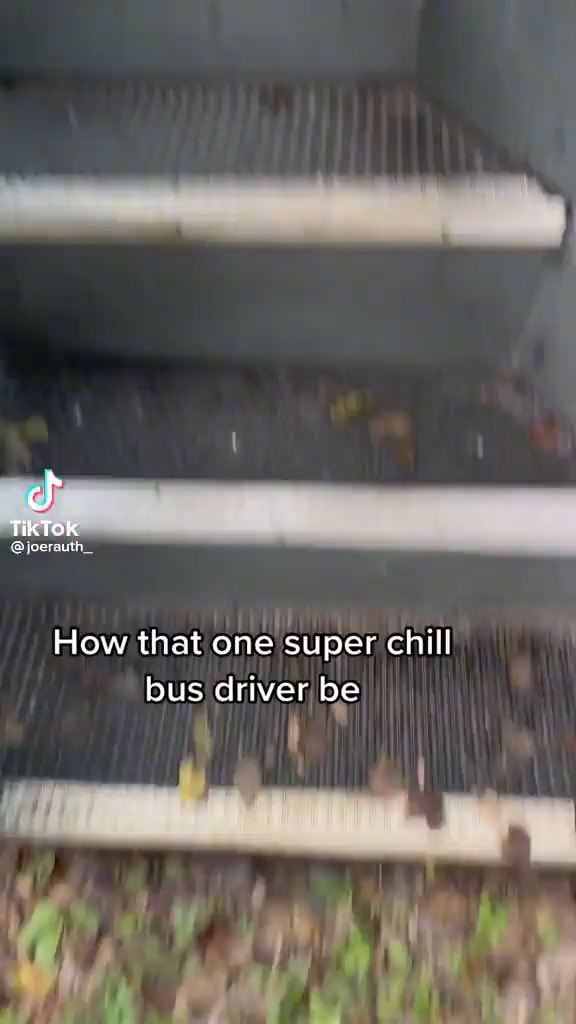Cf TiKTOK How that one super chill bus driver be - iFunny