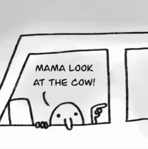 MAMA LOOK AT THE COw! - iFunny
