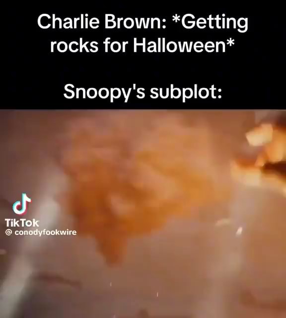 Charlie Brown: *Getting rocks for Halloween* Snoopy's subplot: TikTok conadytoow ante - iFunny