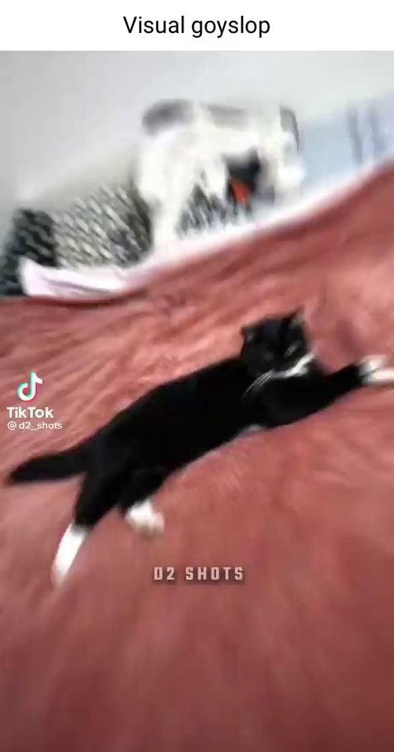 Visual goyslop 02 SHOTS - iFunny Brazil