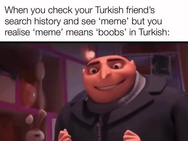 When you check your Turkish friend's search history and see 'meme' but ...