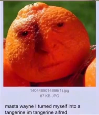 Masta wayne I turned myself into a tangerine im tangerine alfred - iFunny