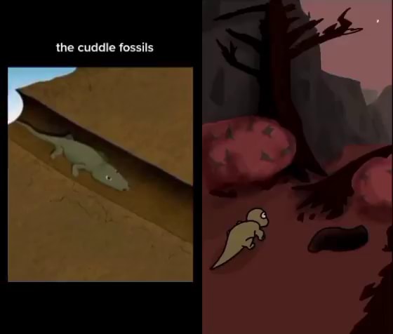 The cuddle fossils - iFunny