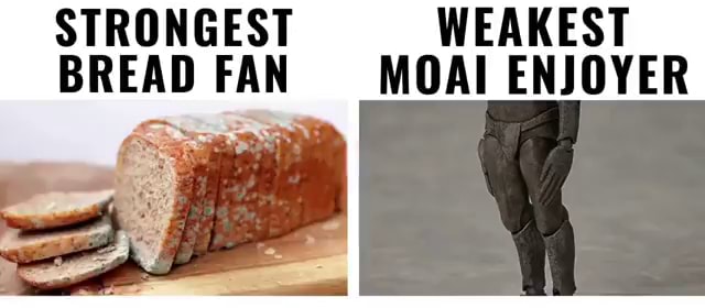 STRONGEST WEAKEST BREAD FAN MOAI ENJOYER - iFunny