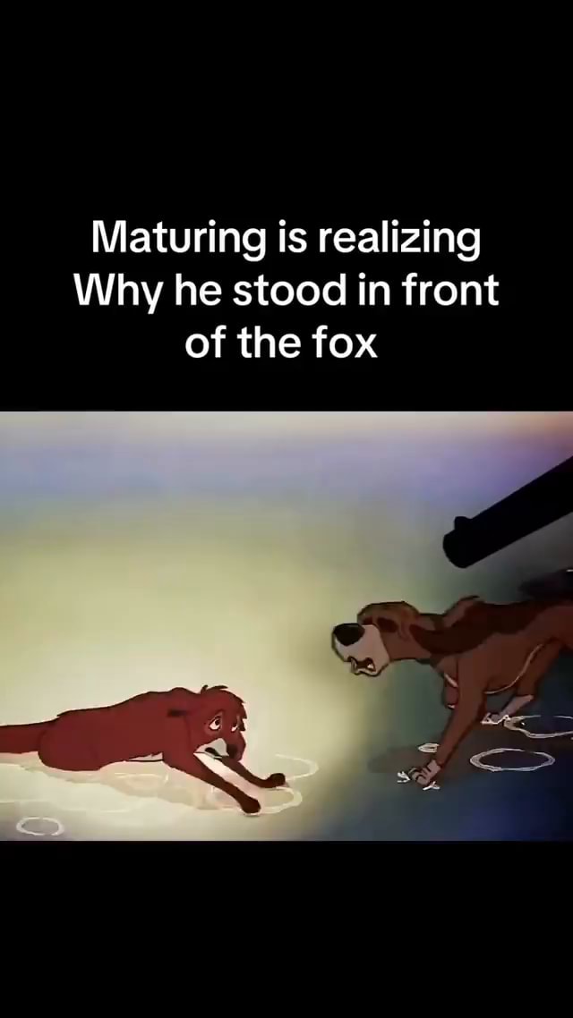 Maturing is realizing Why he stood in front of the fox - iFunny