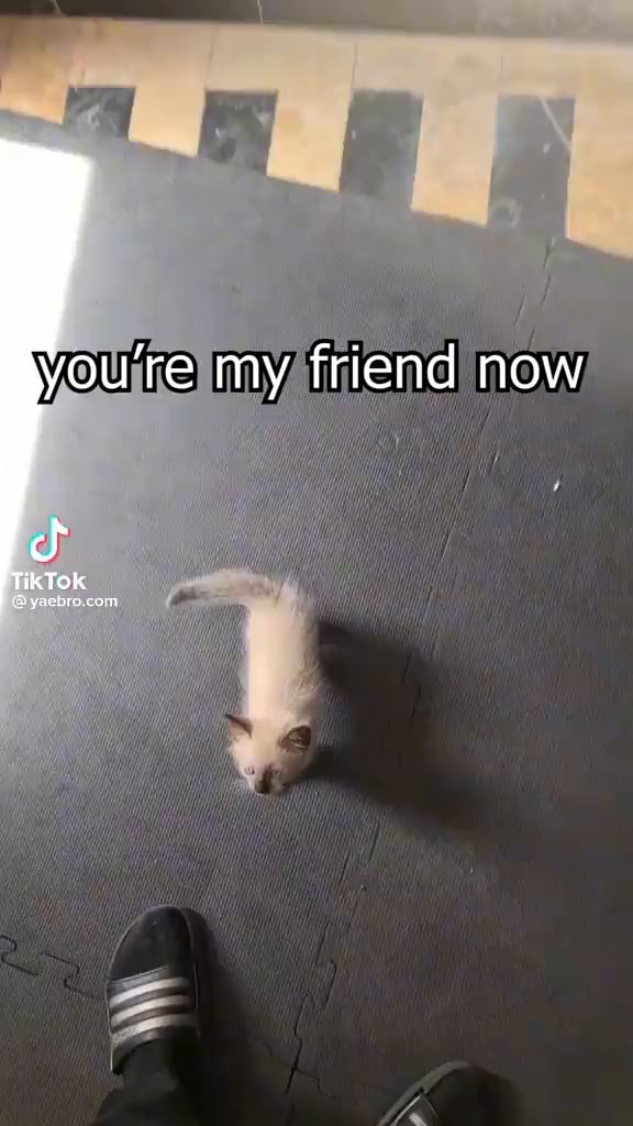 You're my friend now - iFunny