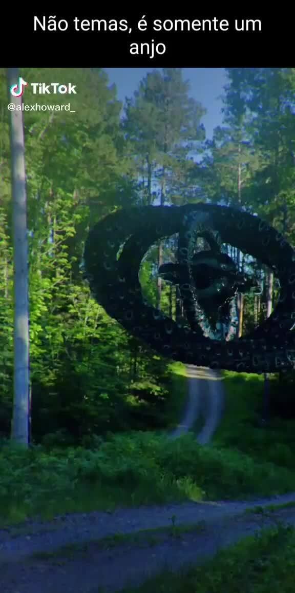 Não temas, é somente um anjo - iFunny