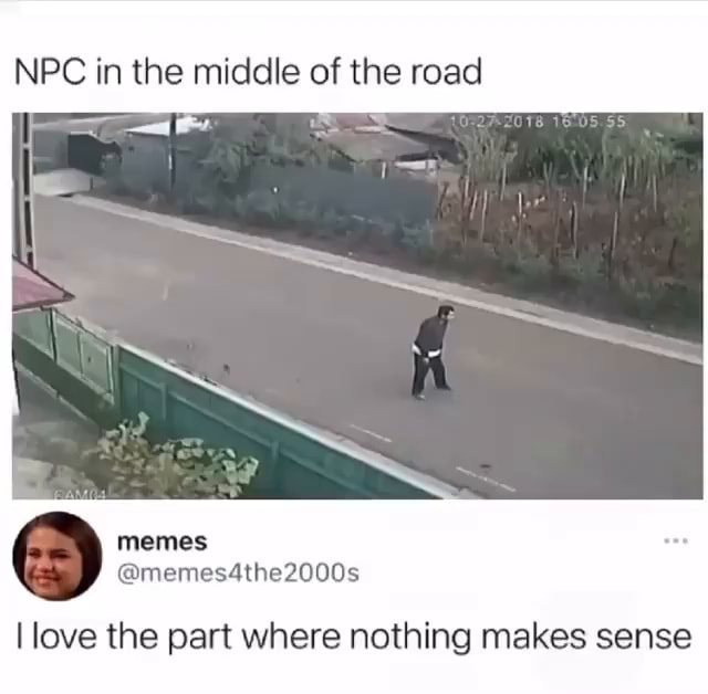 NPC in the middle of the road memes I love the part where nothing makes ...