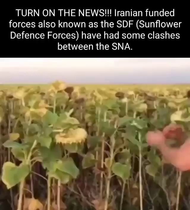 TURN ON THE NEWS!!! Iranian funded forces also known as the SDF ...