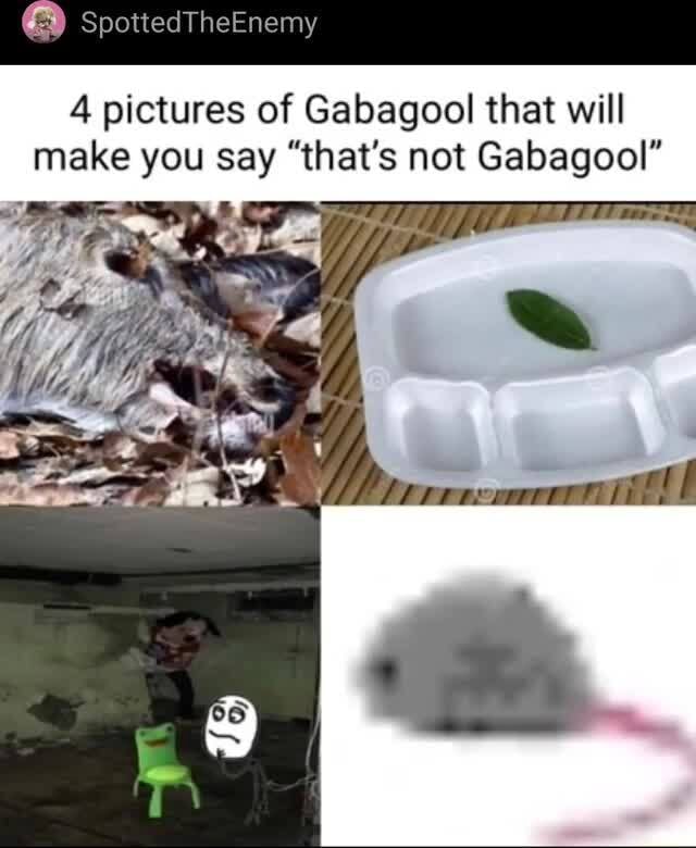 SpottedTheEnemy pictures of Gabagool that will make you say "that's not ...