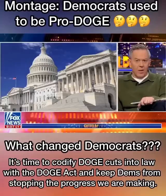 Montage: Democrats used to be Pro- DOGE eee What changed Democrats ...
