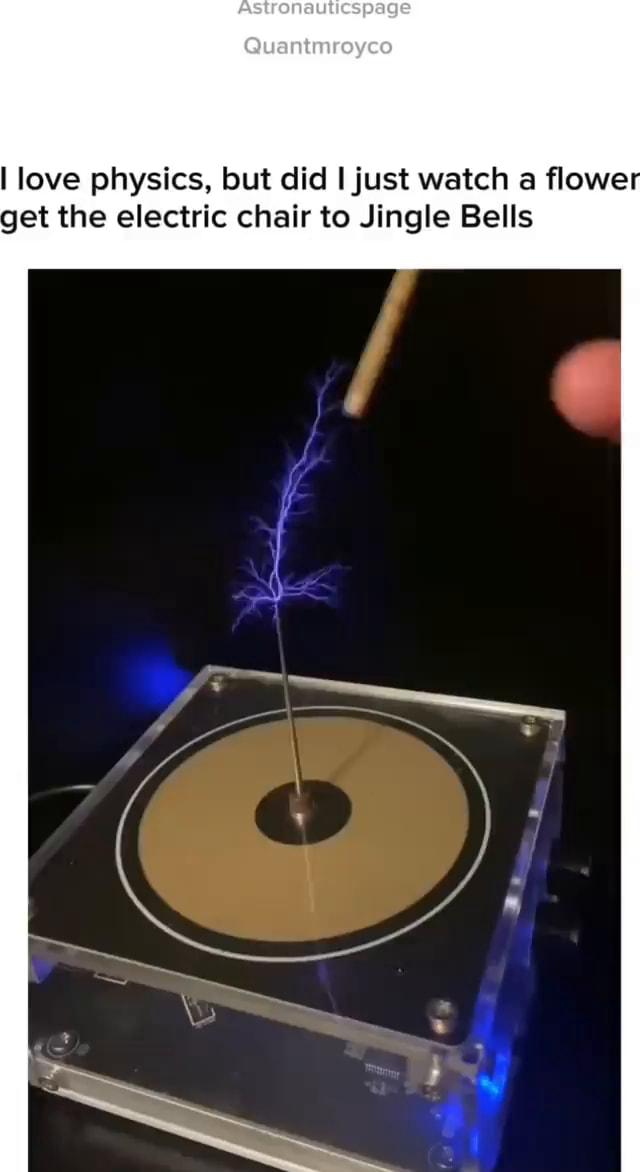 I love physics, but did I just watch a flower get the electric chair to ...