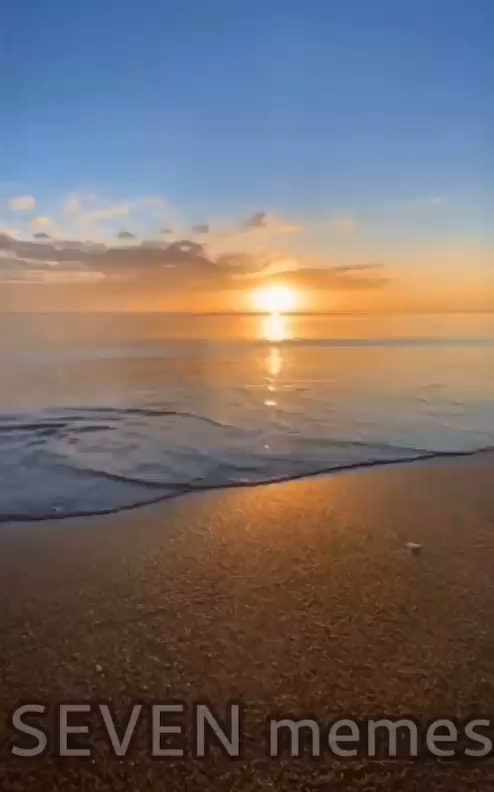 SEVEN memes - iFunny