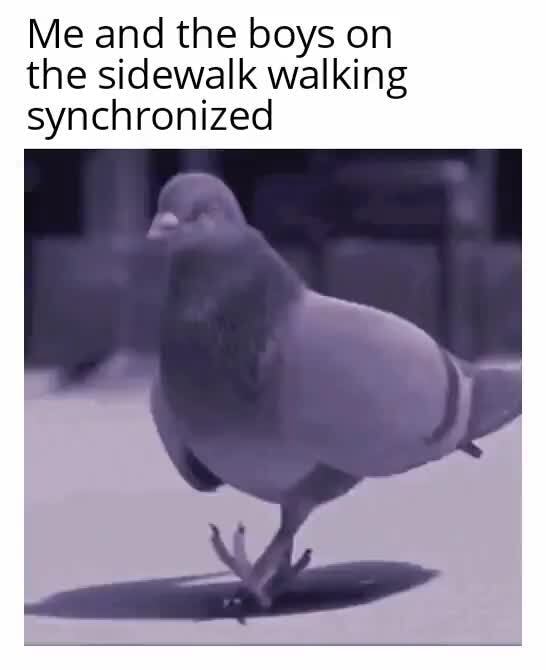 Me and the boys on the sidewalk walking synchronized - iFunny