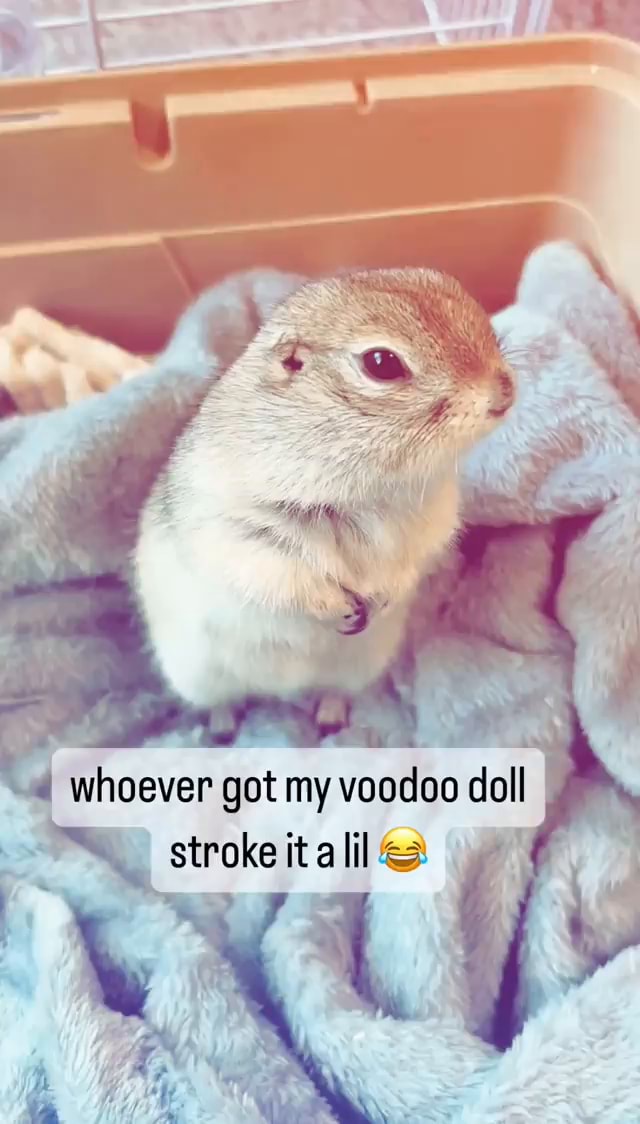 Whoever got my voodoo doll stroke - iFunny