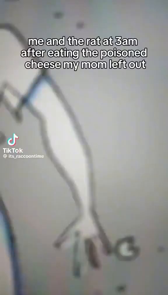 Me and the rat at after eating the poisoned cheese my mom left out Tik ...