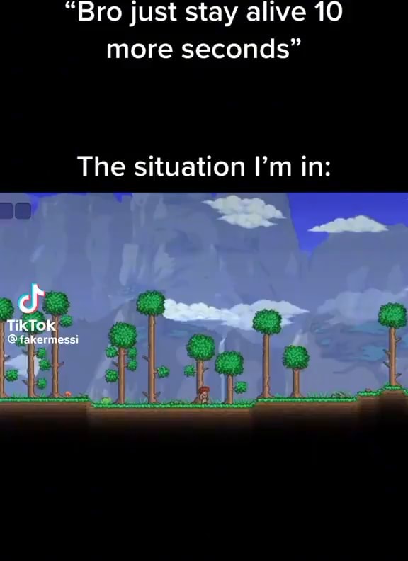 Bro Just Stay Alive 10 More Seconds The Situation I M In Tik Tok
