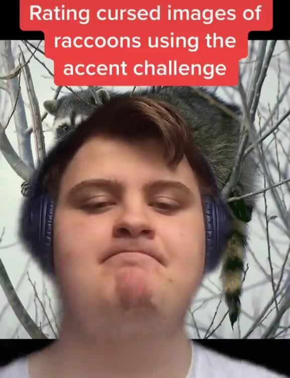 Rating cursed images of \s4 raccoons using the - iFunny