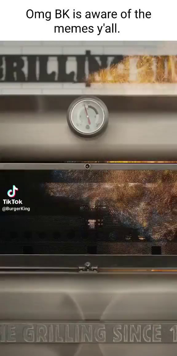 Omg BK is aware of the memes y'all. TikTok @BurgerKing - iFunny