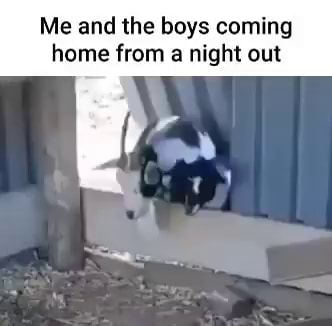 Me and the boys coming home from night out - iFunny