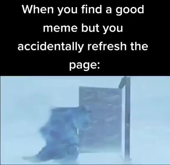 When you find good meme but you accidentally refresh the page: - iFunny