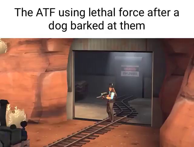 The ATF using lethal force after a dog barked at them - iFunny