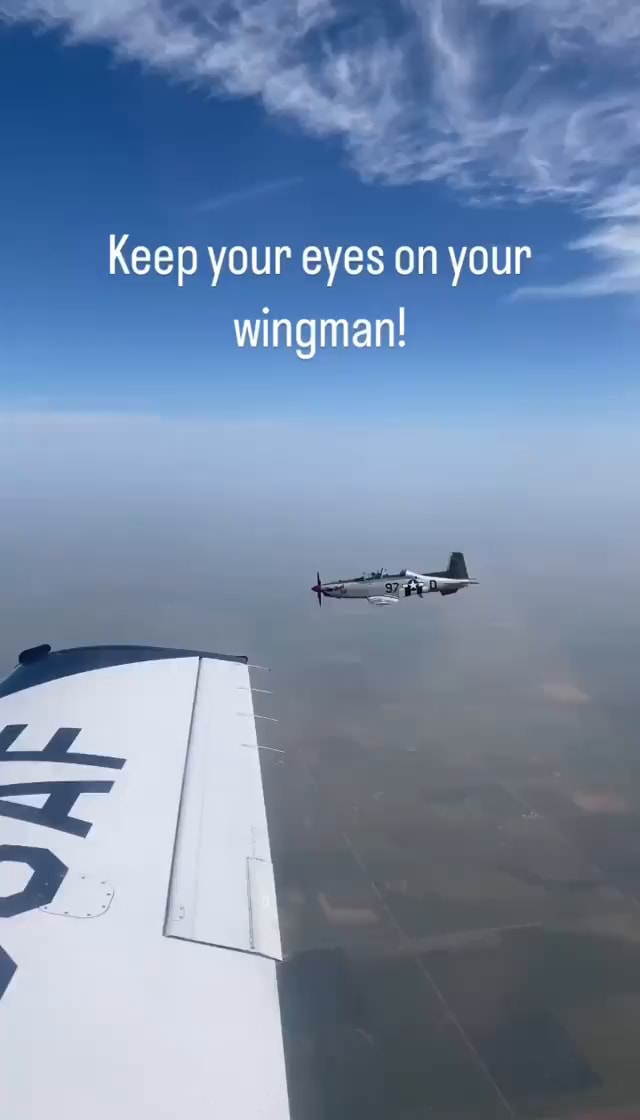 Keep your eyes on your wingman! - iFunny