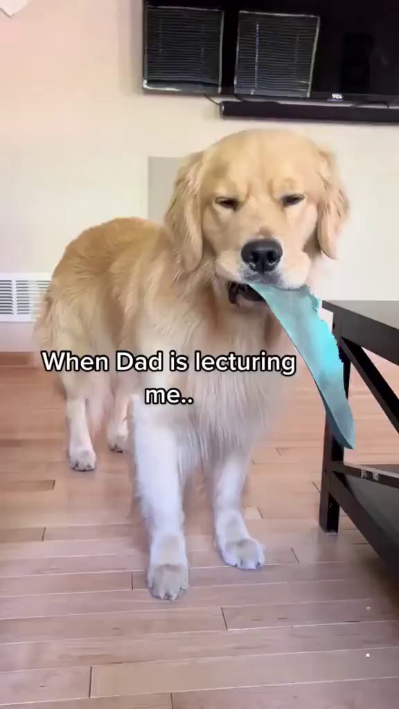 When Dad is lecturing me.. - iFunny