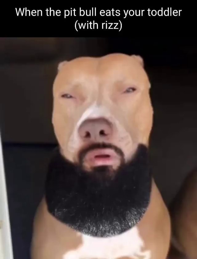 When the pit bull eats your toddler (with rizz) - iFunny