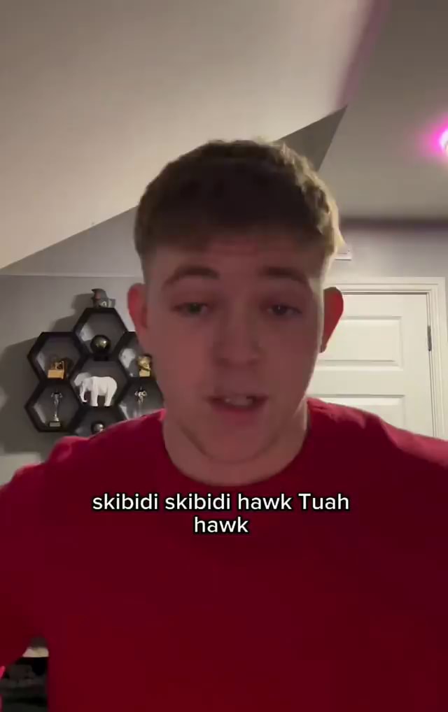 Skibidi skibidi hawk Tuah hawk - iFunny