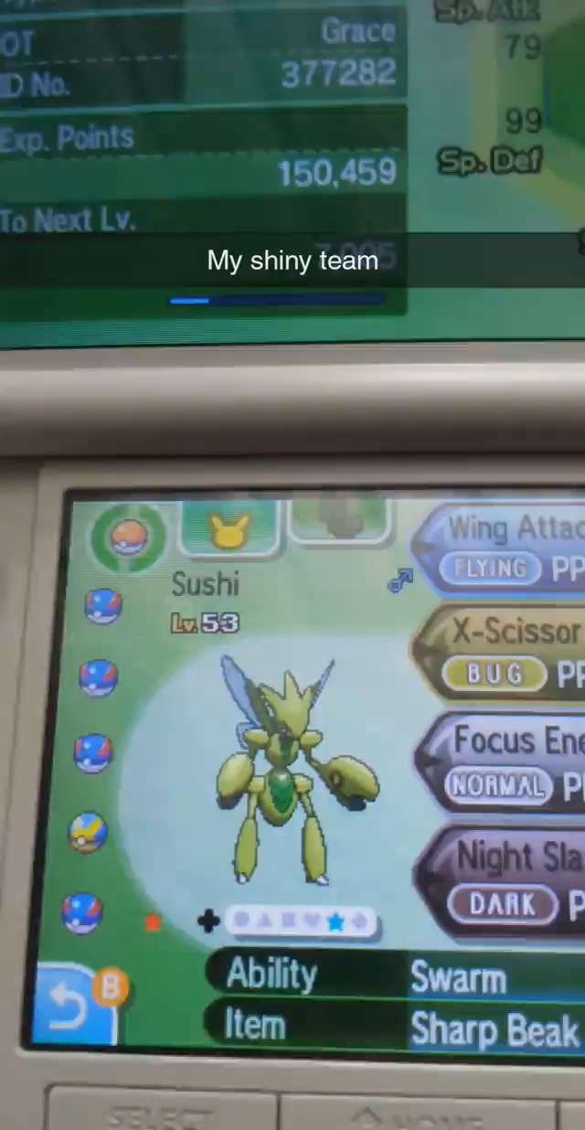 Grace 377282 150,459 My shiny team X- Scissor Focus En Ability Swarm Item Sharp Beak - iFunny