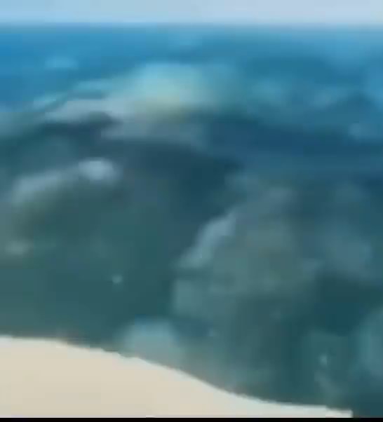 Video memes zD1QhFCNA by frikin_nit_wit - iFunny