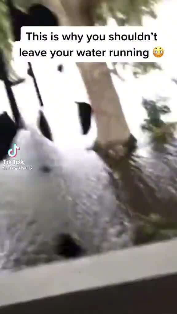This is why you shouldn't leave your water running TikTok - iFunny