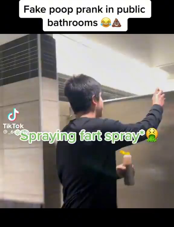 Fake poop prank in public bathrooms TikTok, - iFunny