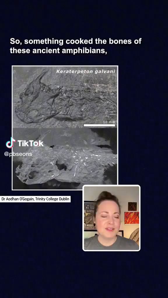 So, something cooked the bones of these ancient amphibians, galvant ...